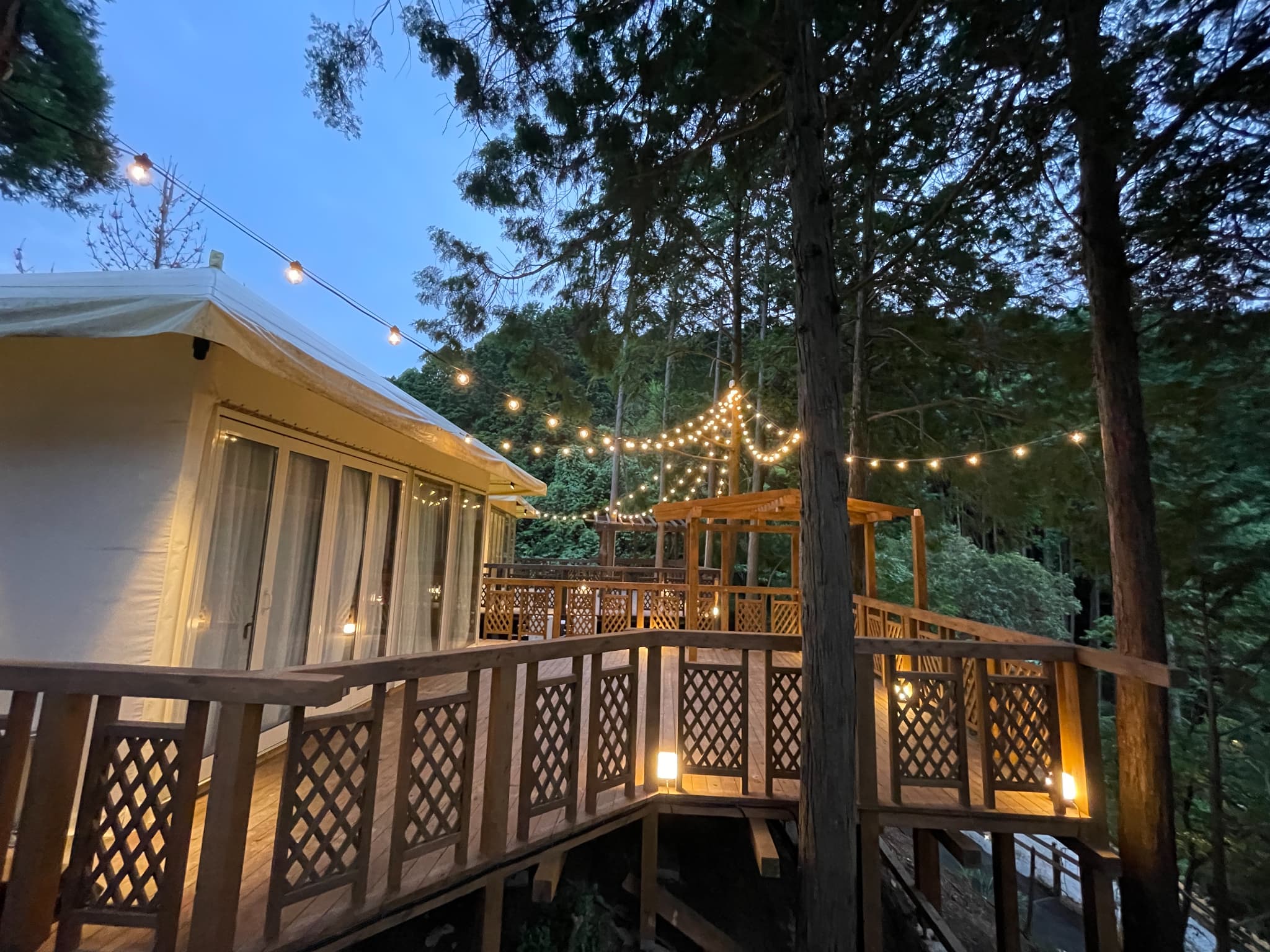 福岡・宮若の星降る森に、体験型グランピング「FOREST-Glamp」誕生！【8月オープン】 | ファンファン福岡